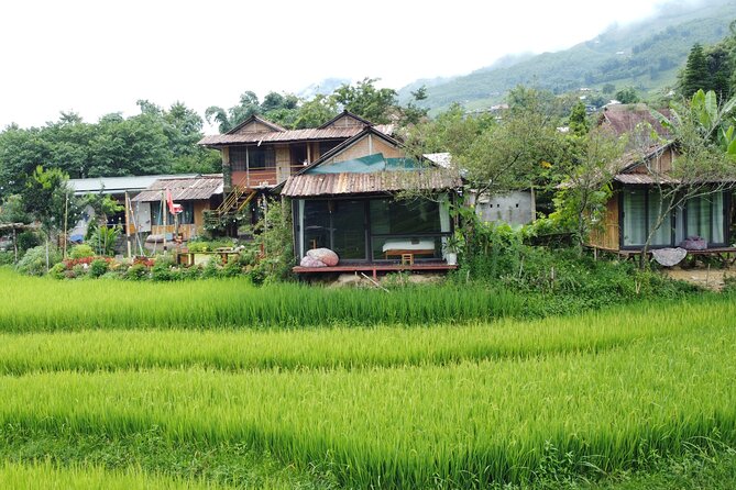 From Hanoi - Sapa 2 Days 2 Nights Tour With Fansipan by cable car - The Sum Up