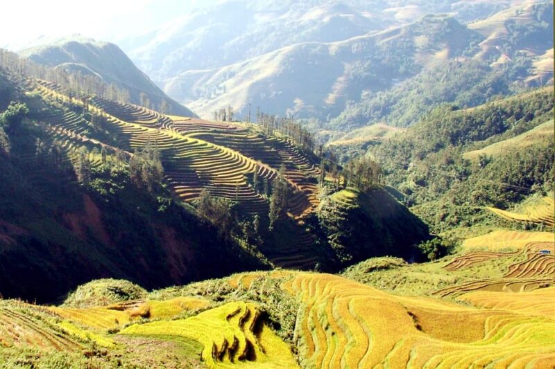From Hanoi: Sapa 2 Days Tour with Bus and Accommodation - FAQ