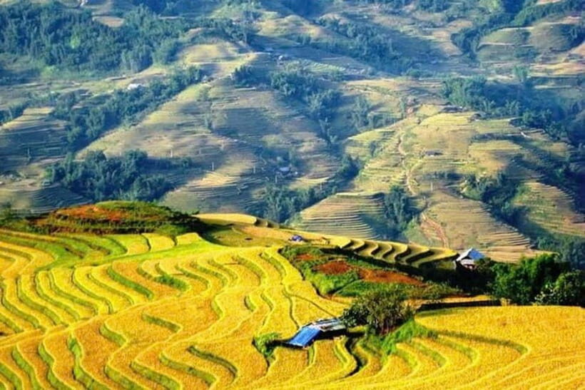 From Hanoi: Sapa 3-Day Trek with Culture and Cozy Bungalow - An Honest Look at the Sapa 3-Day Trek