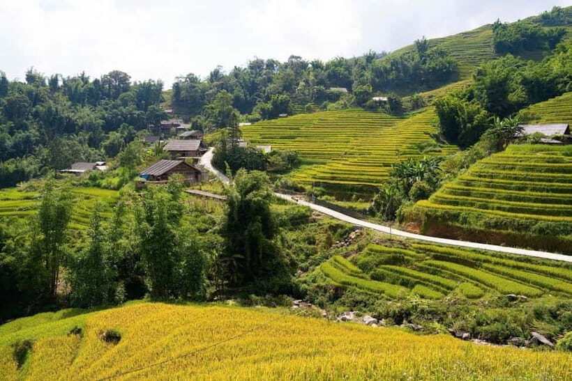 From Hanoi: Sapa 3-Day Trek with Culture and Cozy Bungalow - Who Should Consider This Tour?