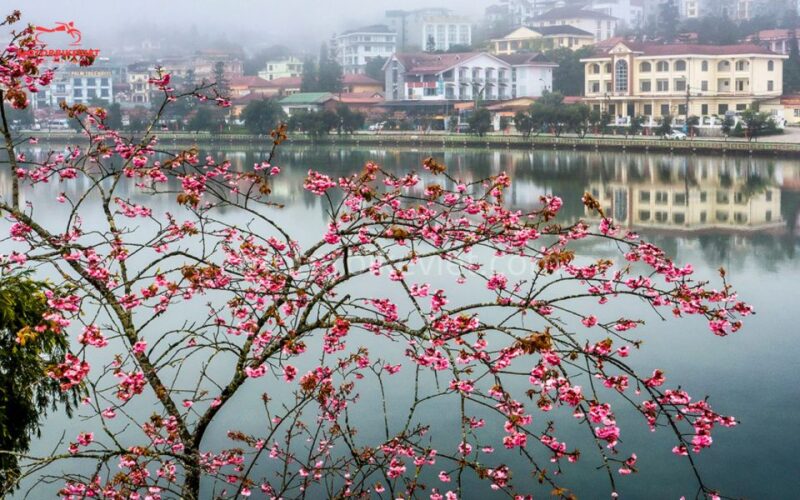 From Hanoi: Sapa 3 Days 2 Nights In the Evening - What to Keep in Mind