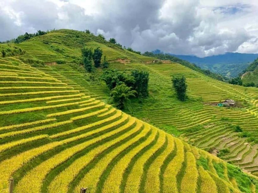 From Hanoi: Sapa 3 Days Trek, Phansipan Peak| 5-Stars Hotel - Key Points