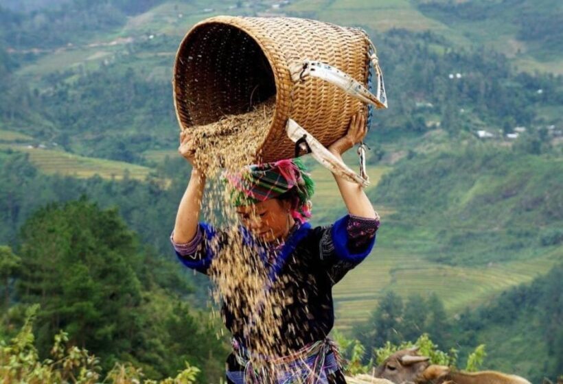 From Hanoi: Sapa 3 Days Trek, Phansipan Peak| 5-Stars Hotel - Final Thoughts