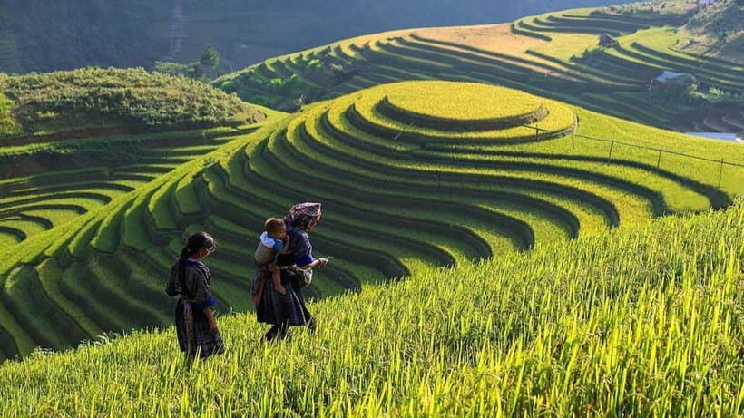 From Hanoi: Sapa and Bac Ha Market 2-Day Tour with Bus - Key Points