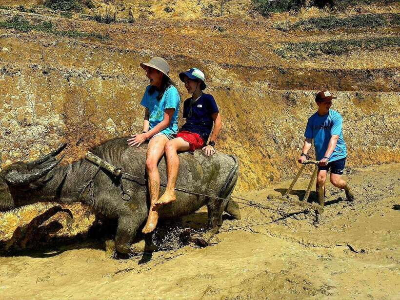 From Hanoi/Sapa: Highlights 2-Day Trekking Tour - Final Thoughts and Who Should Consider This Tour