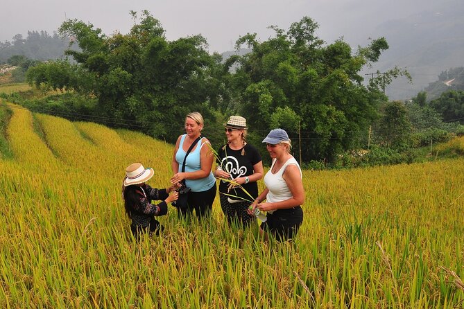 From Hanoi : Sapa Moutain Trek - Halong bay Heritage - Exploring the Itinerary in Detail