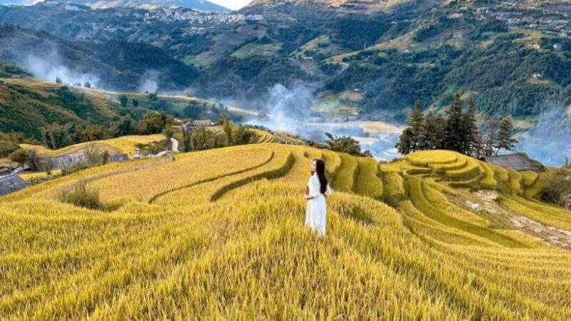 From Hanoi: Sapa Trekking - Y Linh Ho, Lao Chai, and Ta Van - Key Points