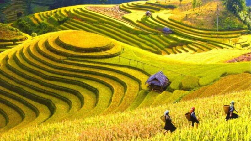 From Hanoi: Sapa Trekking - Y Linh Ho, Lao Chai, and Ta Van - Final Thoughts