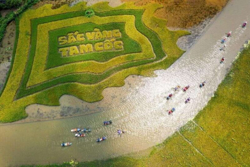 From Hanoi: Tam Coc Boat Trip and Hoa Lu & Mua Cave Tour - Who Will Love This Tour?