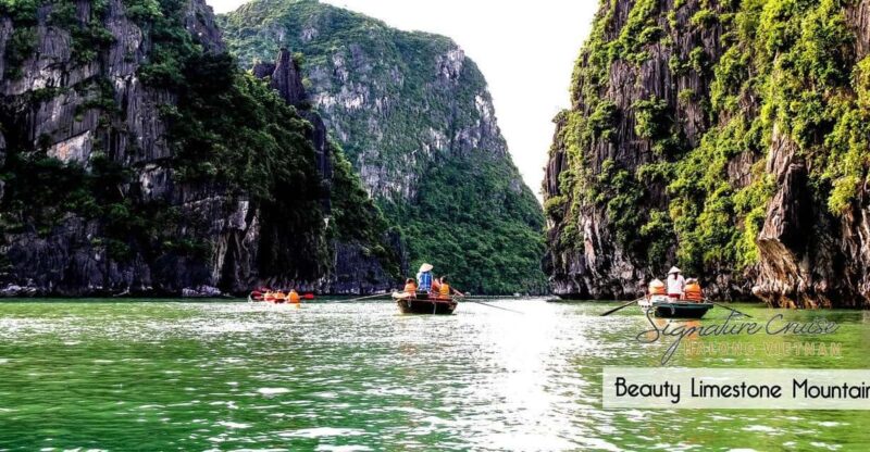 From Hanoi: Visit Cat Ba Islands By A Good Cruise In 1 Day - What Makes This Tour Stand Out?