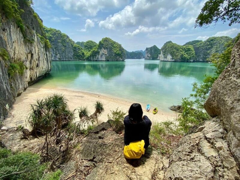 From Hanoi: Visit Cat Ba Islands By A Good Cruise In 1 Day - Final Thoughts: Who Will Love This Tour?