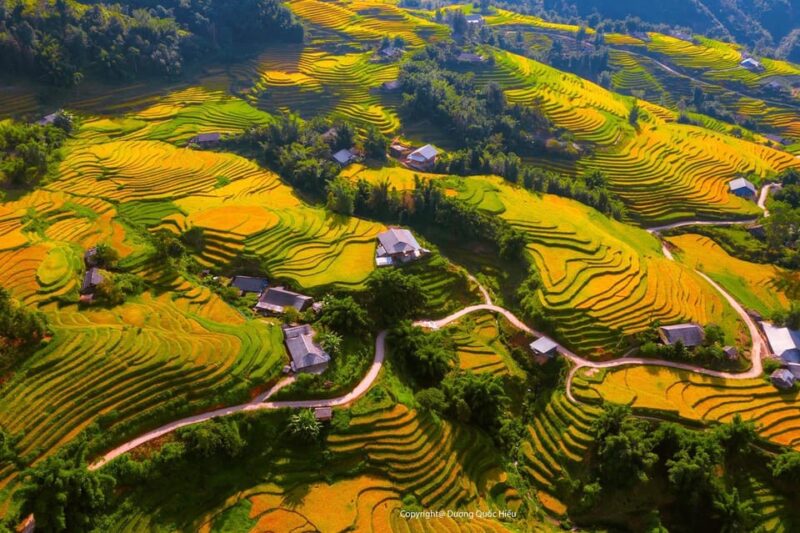 From Hanoi: Visit Sapa 3 Days & See The Terraced Fields - Transport & Accommodation: Practical Details