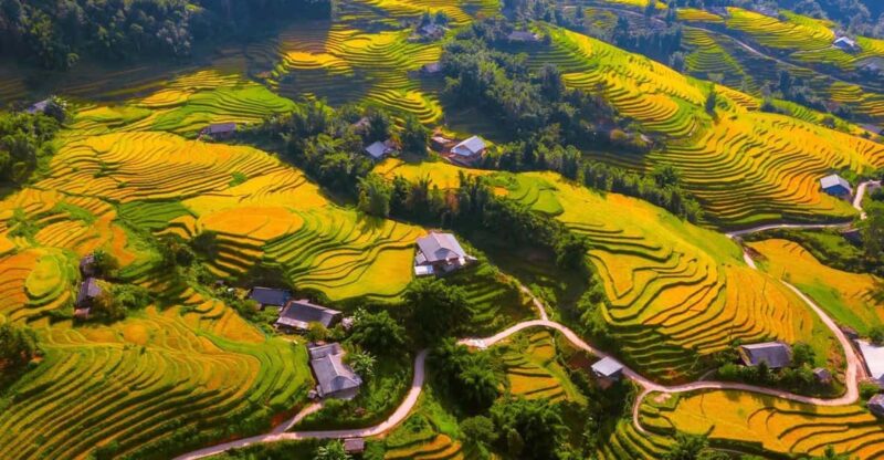 From Hanoi: Visit Sapa 3 Days & See The Terraced Fields - Authenticity & Cultural Insights