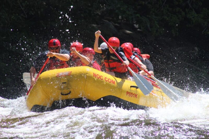 From Hartford: Upper Pigeon River White Water Rafting Tour - Authentic Traveler Experiences
