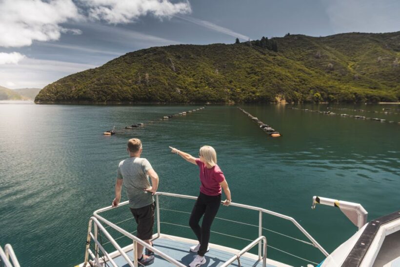 From Havelock: Marlborough Sounds Mail Boat Full-Day Cruise - The Sum Up