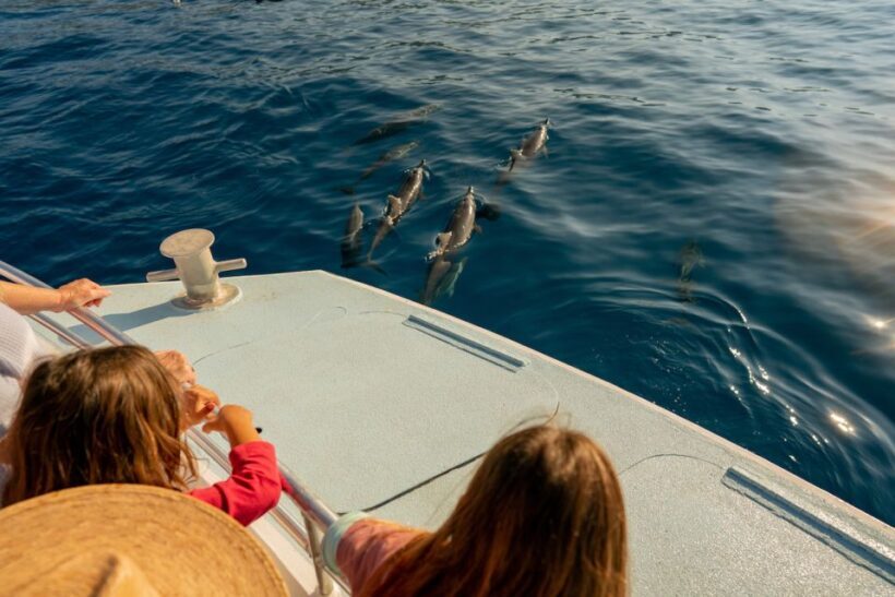 From Hawaii: Eco-Friendly Snorkeling Experience with BBQ - Final Thoughts
