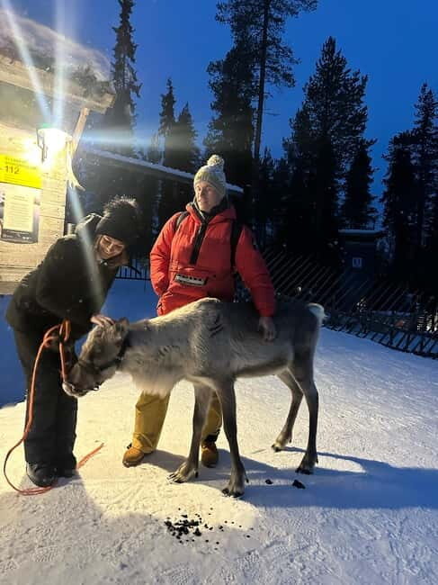From Helsinki: 7-Day Lapland Northern Lights Tour - Exploring the Itinerary: What to Expect Each Day
