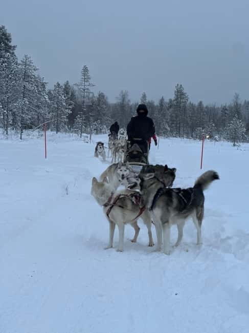 From Helsinki: 7-Day Lapland Northern Lights Tour - FAQ