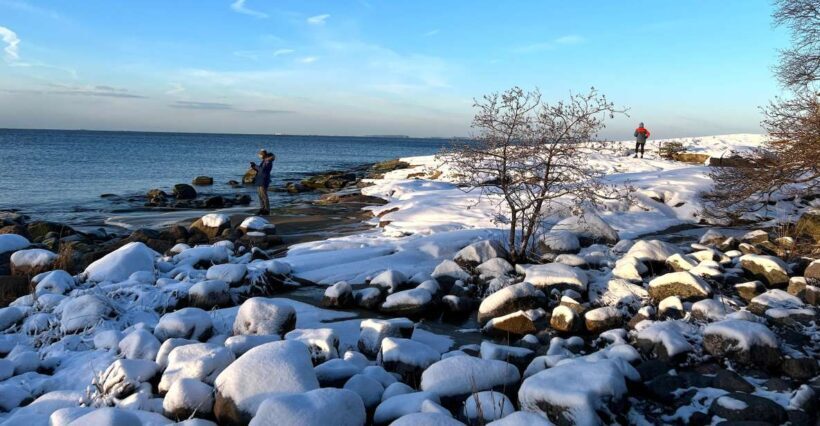 From Helsinki: Archipelago Excursion in Porkkalaniemi - Frequently Asked Questions