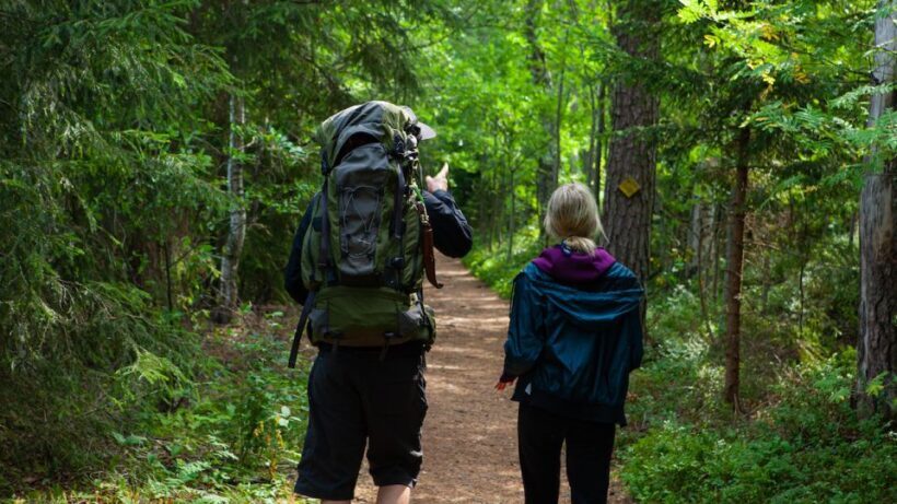 From Helsinki: Berry Picking Day Trip in a National Park - The Itinerary: A Day Well Spent