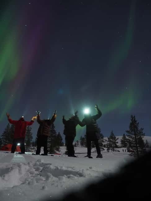 From Helsinki: Guided Forest Walk in the dark with campfire - Key Points