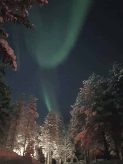From Helsinki: Guided Forest Walk in the dark with campfire - Discover the Magic of Finland’s Winter Forest
