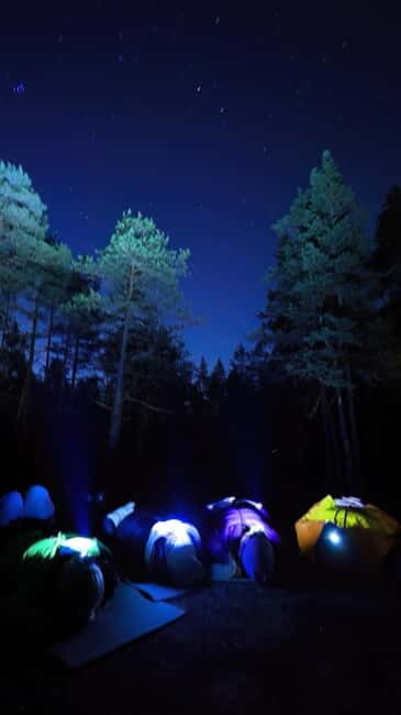 From Helsinki: Guided Forest Walk in the dark with campfire - Final Thoughts