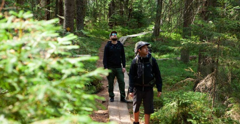 From Helsinki: Magical Taiga Hike in Liesjärvi National Park - Final Thoughts