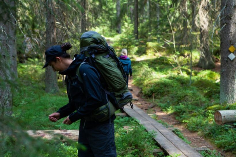 From Helsinki: Mushroom Hunting Tour in a National Park - From Helsinki: Mushroom Hunting Tour in a National Park – A Genuine Finnish Foraging Experience