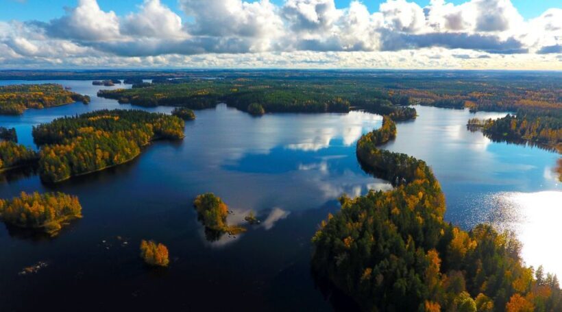 From Helsinki: Mushroom Hunting Tour in a National Park - Who Will Love This Tour?