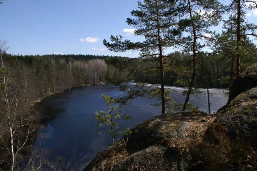 From Helsinki: Nuuksio National Park Half-Day Trip - An In-Depth Look at the Nuuksio National Park Half-Day Trip