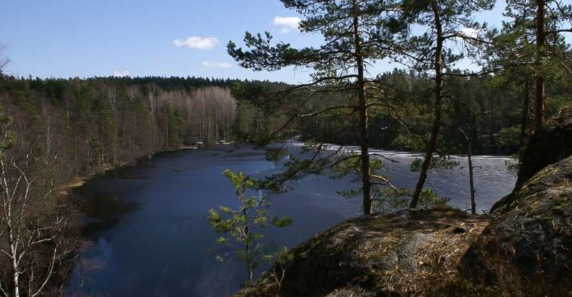 From Helsinki: Nuuksio National Park Half-Day Trip - Final Thoughts: Is It Worth It?