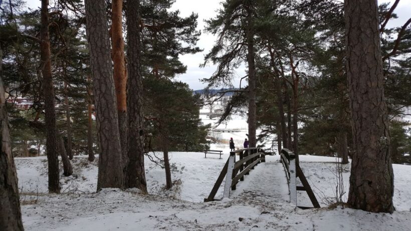 From Helsinki: Porvoo Guided Day Trip with Transportation - Real Traveler Feedback: What People Love