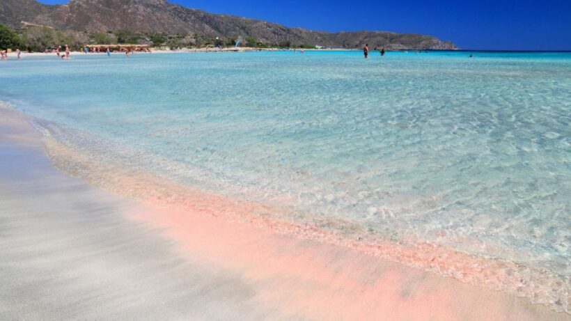 From Heraklion: Elafonisi Beach Day Tour with Pickup - Who Will Love This Tour?