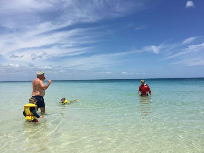 From Hervey Bay: Half-Day K'gari Fraser Island Beach Cruise - A Practical Guide to the Hervey Bay: Half-Day Kgari Fraser Island Beach Cruise