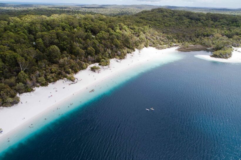 From Hervey Bay: K'gari, Fraser Island Full-Day Coach Tour - An In-Depth Look at the Fraser Island Tour Experience