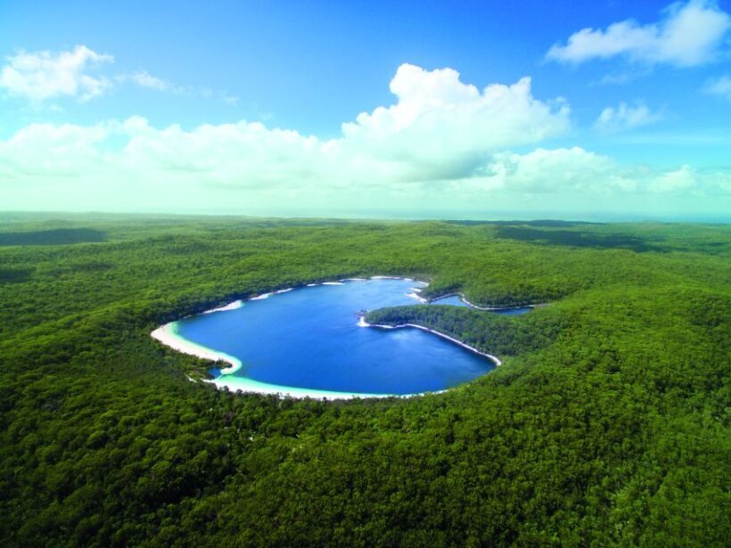From Hervey Bay: K'gari, Fraser Island Full-Day Coach Tour - The Bottom Line