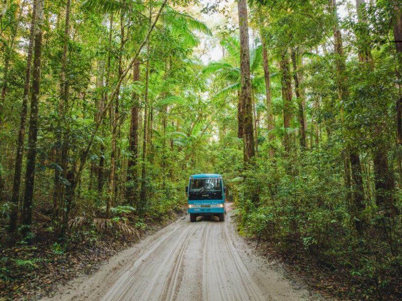 From Hervey Bay: K'gari, Fraser Island Full-Day Coach Tour - FAQ