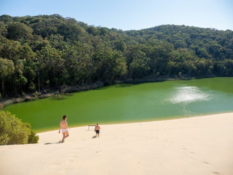 From Hervey Bay: K'gari, Fraser Island Two-Day Coach Tour - Key Points
