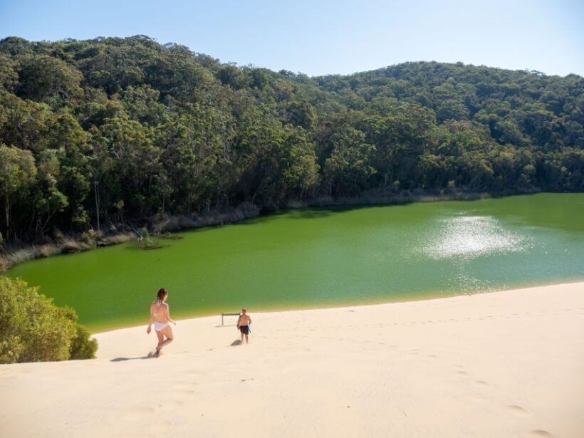 From Hervey Bay: K'gari Getaway Three-day 4WD Coach Tour - Who Will Love This Tour?