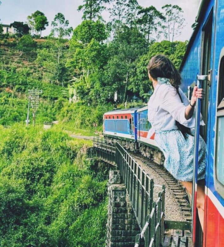 From Hikkaduwa/Galle/Mirissa : Waterfall & Tea Factory Tour - Key Points