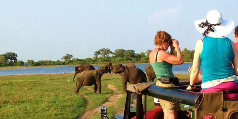 From Hikkaduwa: Udawalawe National Park Safari Tour - Exploring the Safari Itinerary in Detail