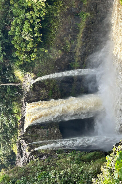 From Hilo: Hawaii Volcanoes National Park Tour - Final Thoughts