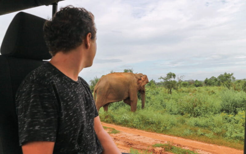 From: Hiriketiya/ Tangalle - Udawalawe Safari - To: Ella - Final Thoughts: Who Will Love This Safari?