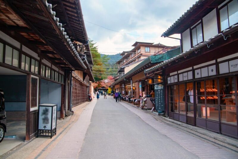 From Hiroshima: Miyajima Island Day Trip With Ropeway Ride - Physical Requirements and Recommendations