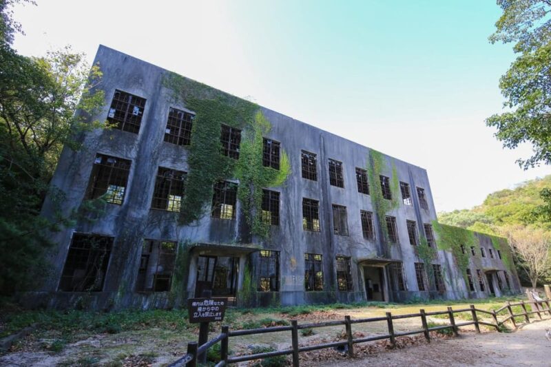 From Hiroshima: Rabbit Island and Takehara Town Tour - Cultural Insights and Experiences