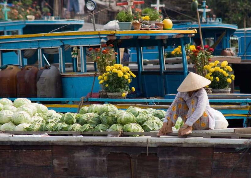 From Ho Chi Minh: Cai Rang Floating Market & Cooking Class - Who Will Love This Tour?