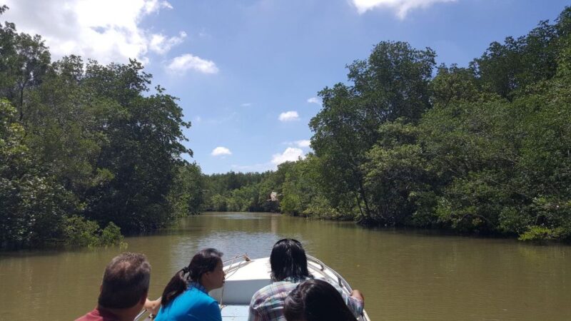 From Ho Chi Minh: Can Gio Mangrove Forest & Monkey Island - Who Might Not Enjoy It as Much