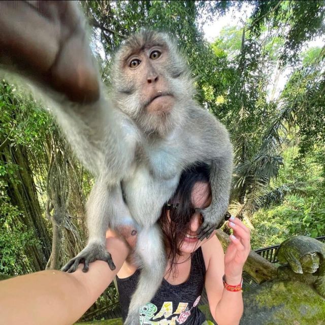 From Ho Chi Minh: Can Gio Mangrove Forest - A Detailed Breakdown: Why This Tour Works