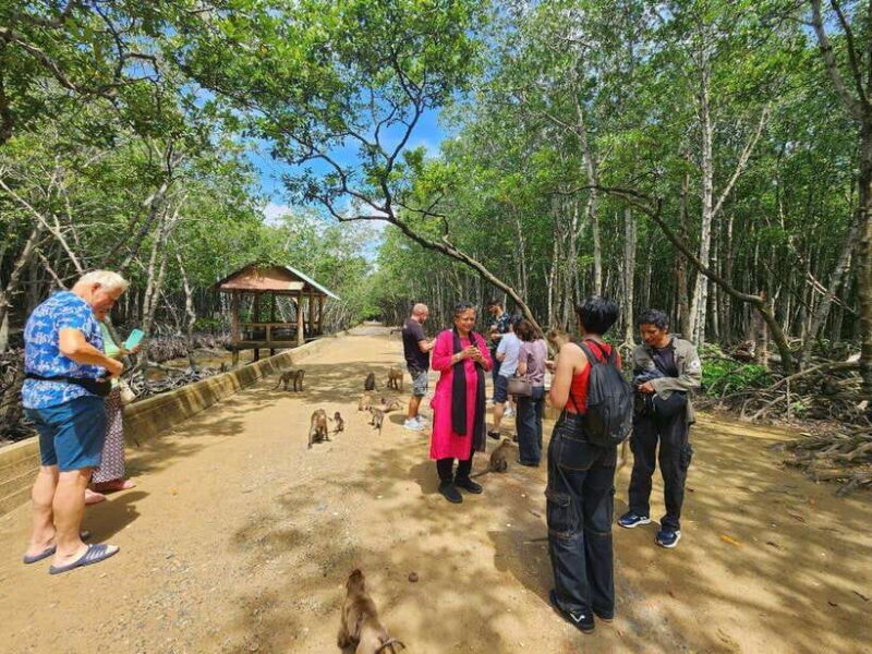 From Ho Chi Minh: Can Gio Mangrove & Monkey Island Day Trip - The Return Journey and Overall Experience